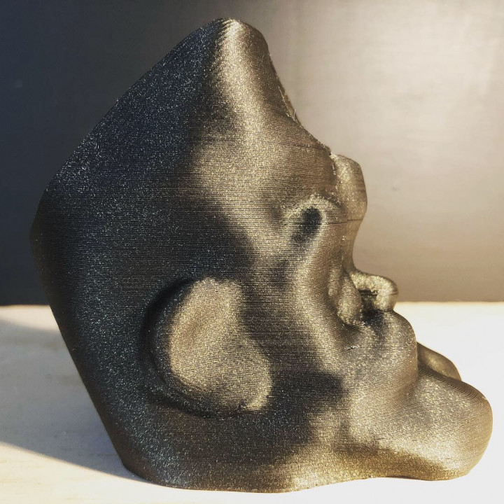 3D Printable Paradox Face by Jacob Surovsky