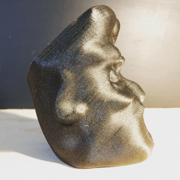 3D Printable Paradox Face by Jacob Surovsky