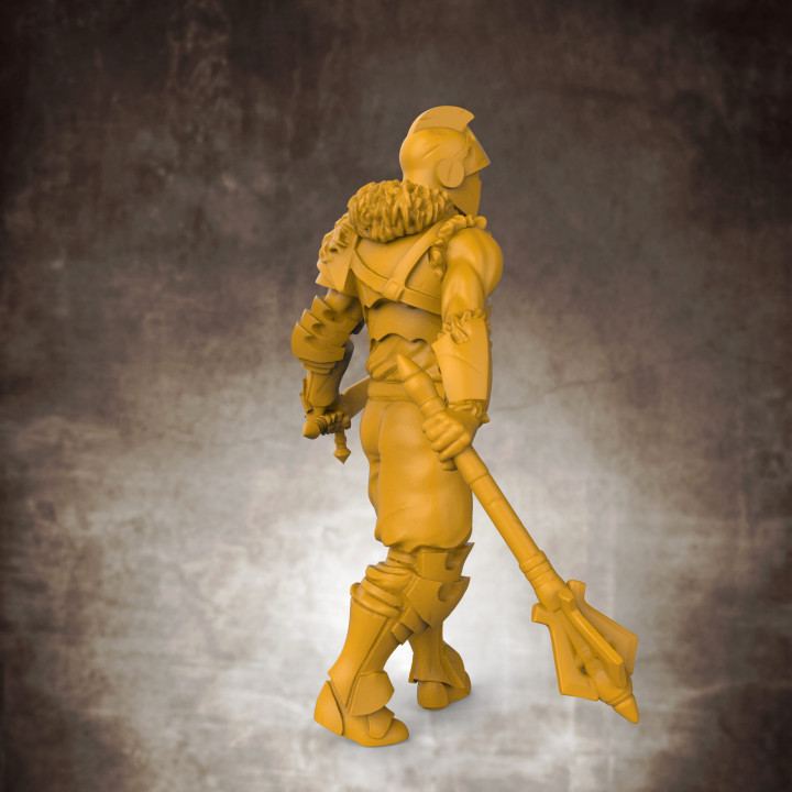 3D Printable RPG Fighter - Multipart with build options (32mm scale) by ...