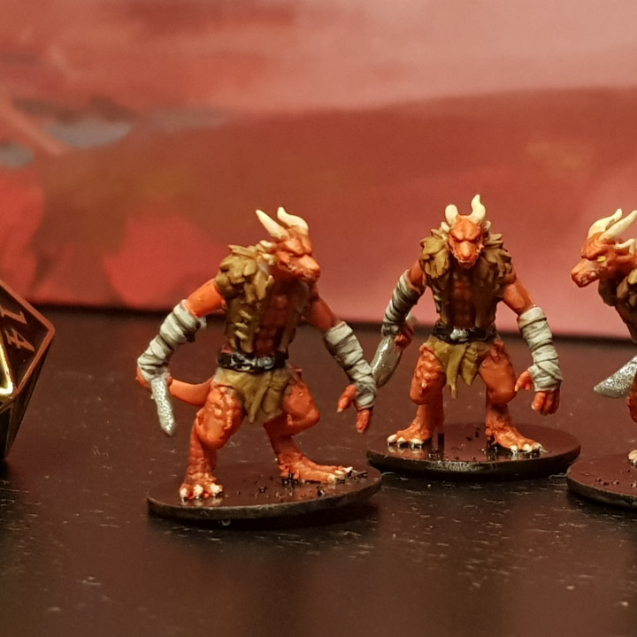 3D Print of Kobold ver.1 by Windkante