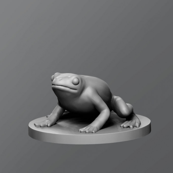 3D Printable Frog by schlossbauer