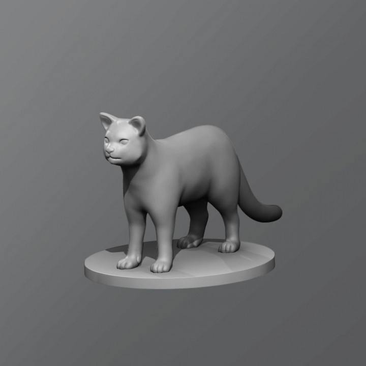 3D Printable Cat by schlossbauer