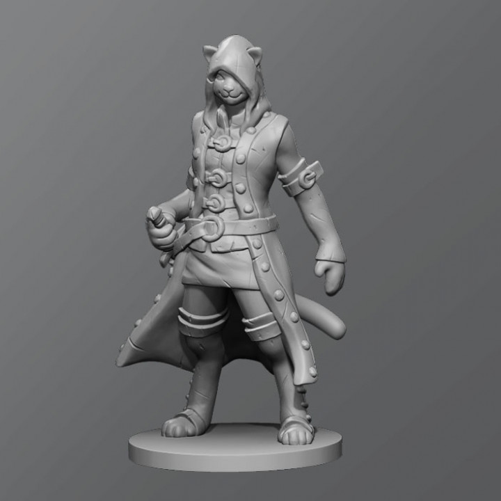 3D Printable Cat Rogue by schlossbauer