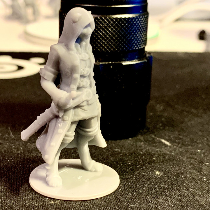 3D Print of Cat Rogue by Cloneberg