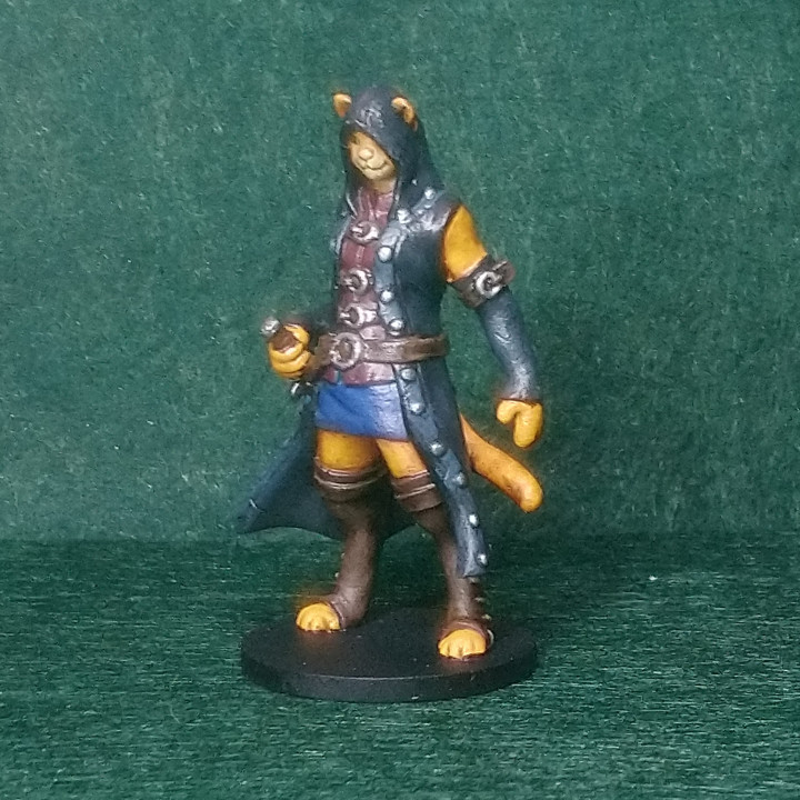 3D Print of Cat Rogue by CaptainKindling