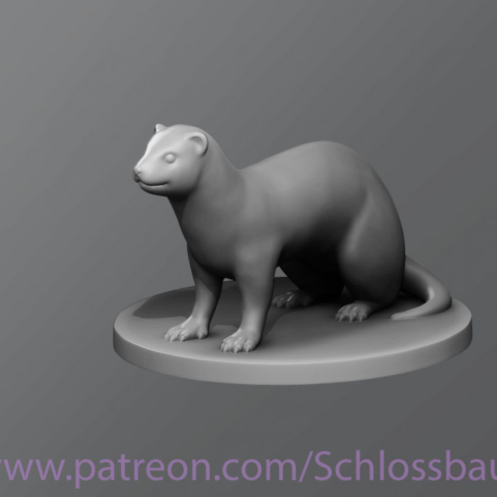 3D Printable Ferret by schlossbauer