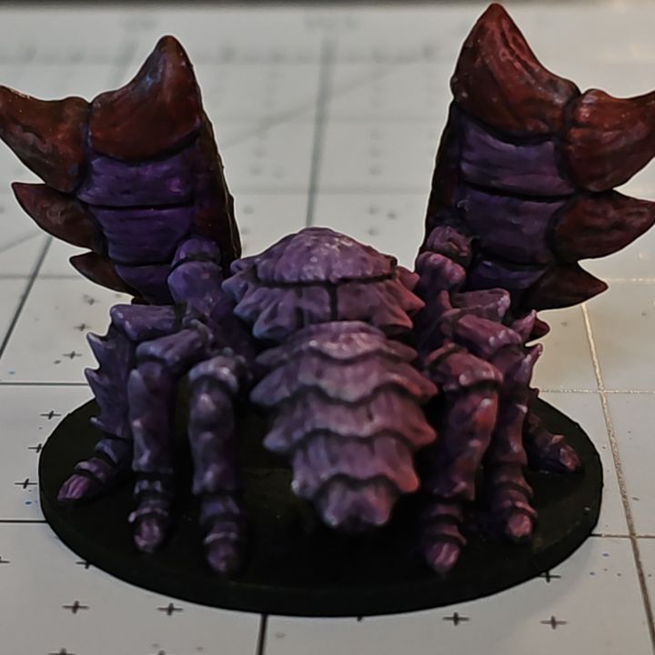 3D Print of Shield spider by mikemeyer2