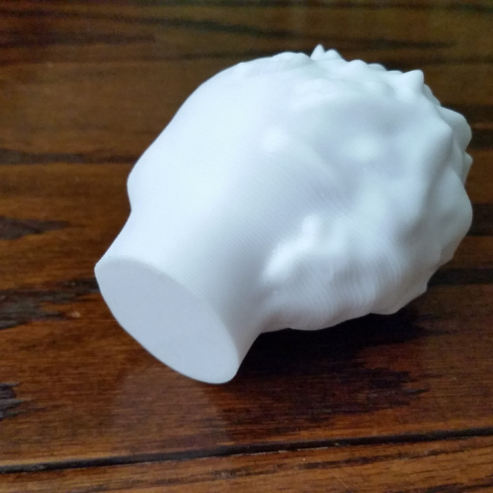 3D Printable Face by Jared Carter