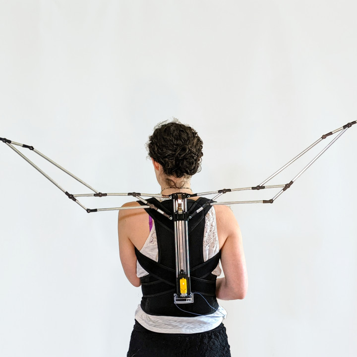 3D Printable 3D Printed Wearable Cosplay Wing Set! by Enza3D