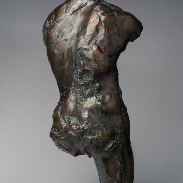 3D Printable Torso by Scan The World