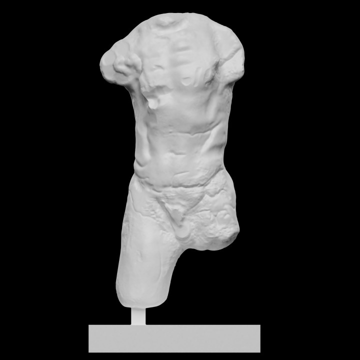 3D Printable Torso by Scan The World