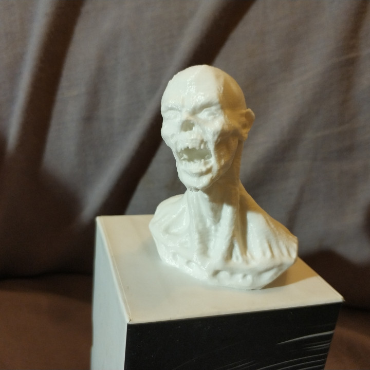 3D Print of Zombie Bust by zukamimi
