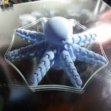 3D Printable Cute Mini Octopus by McGybeer