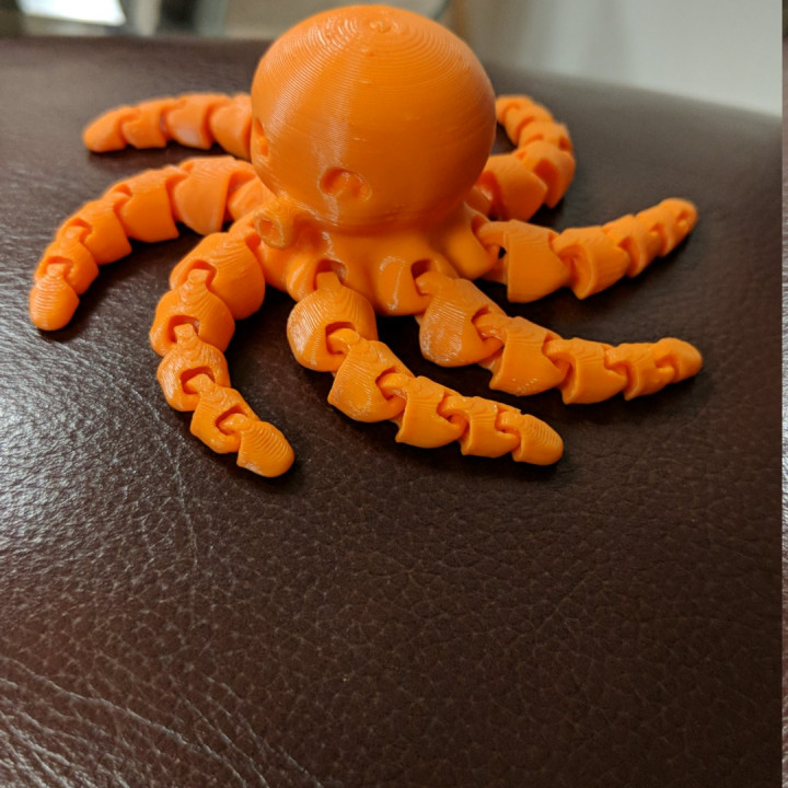 3D Print of Cute Mini Octopus by jacobsnover