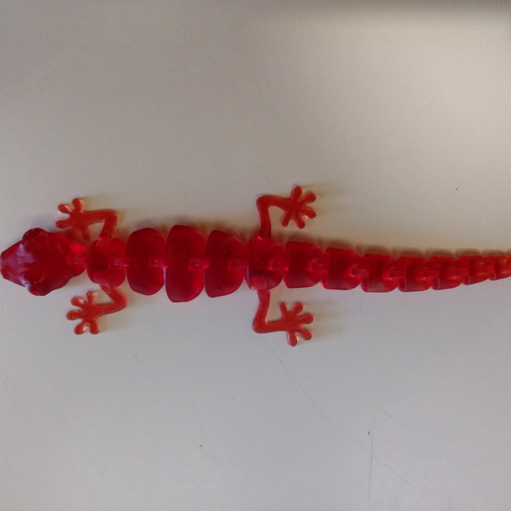 3D Print of Articulated Lizard by TBagJohn