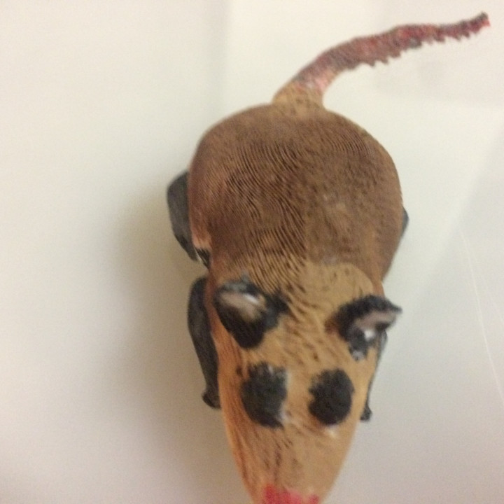 3D Printable Opossum by David Sipos