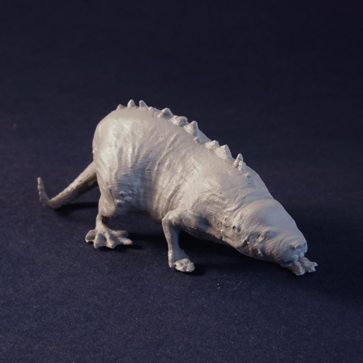 3D Printable Maggie the Monstrous Mole-Rat Tabletop Miniature (02) by ...