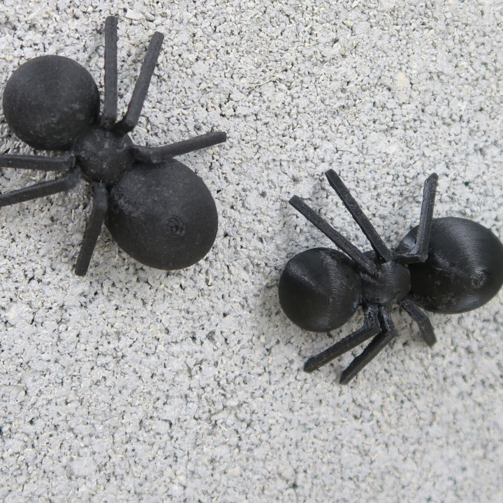 3D Printable Simple Ant by Lindy Design Lab