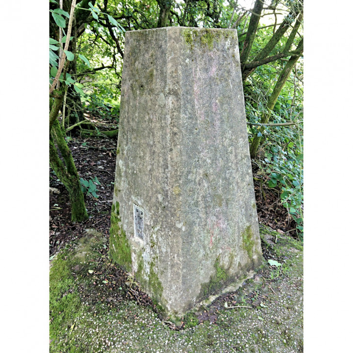 3D Printable Ordnance Survey Trig Point S3147 at Lickey Hills by Andrew ...