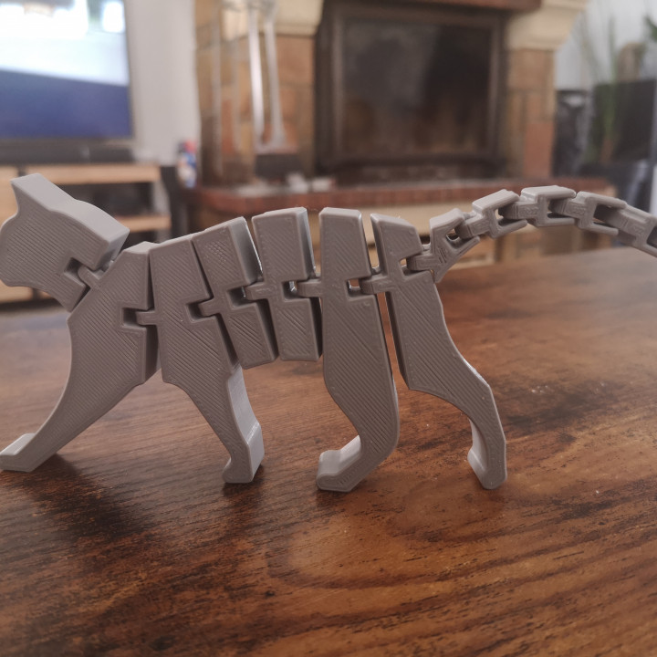 3D Print of flexi animals by alexandredemol