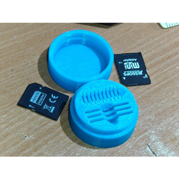 3D Printable SD Card Holder by Billy Tail