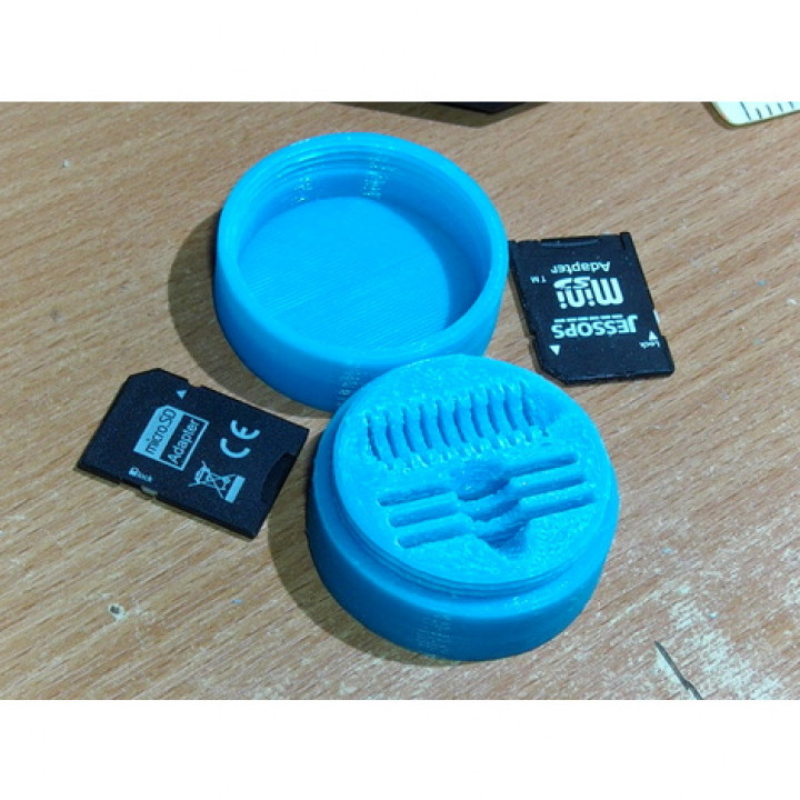 3D Printable SD Card Holder by Billy Tail