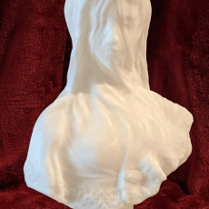 3D Printable Bust of a veiled woman by Scan The World
