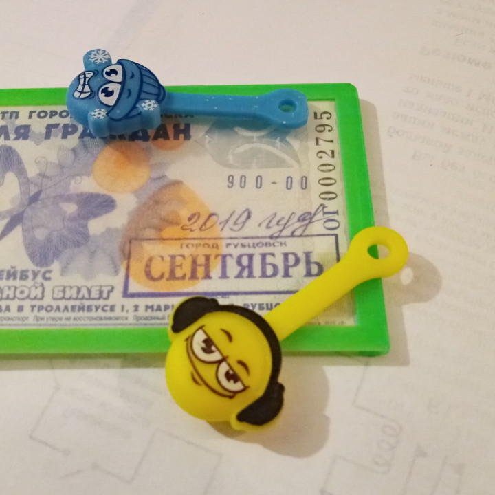 3D Printable case for ticket by Alexandr Polyakov