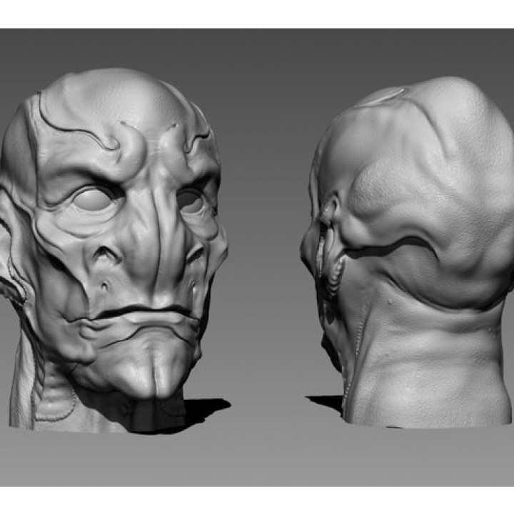3D Printable Saru Head - Star Trek by DCA Tabletop