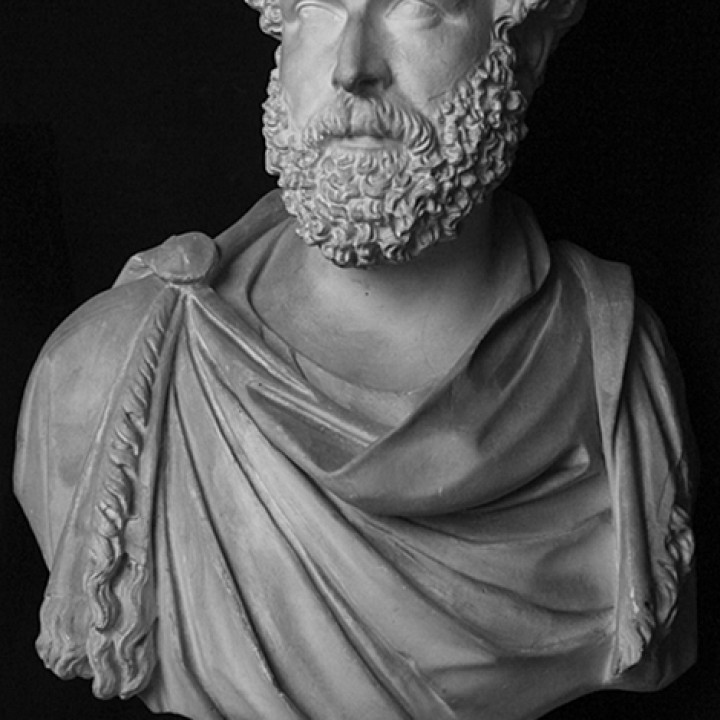 3D Printable Draped bust of a man, formerly known as Clodius Albinus by ...
