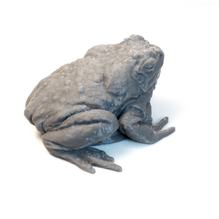 3D Printable Giant Toad - DnD Monster - 2 Poses by DCA Tabletop