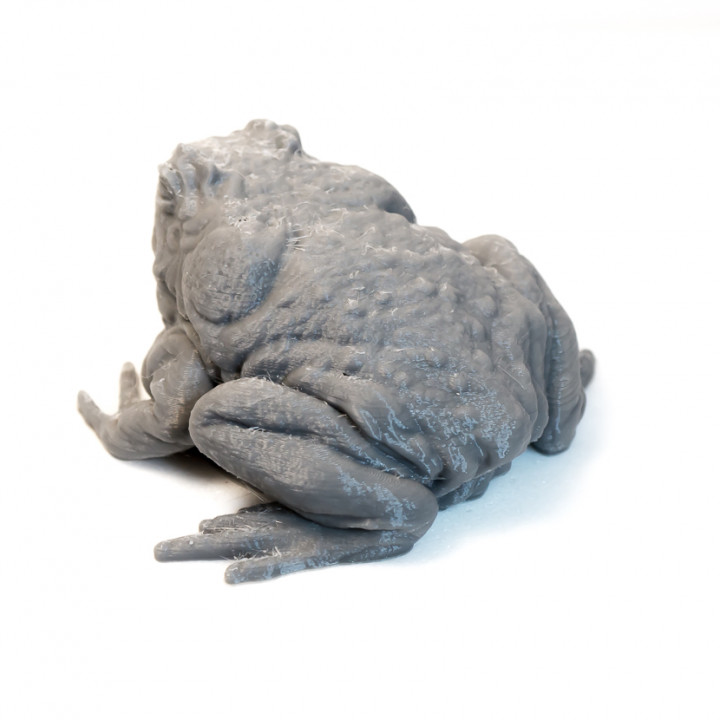 3D Printable Giant Toad - DnD Monster - 2 Poses by DCA Tabletop