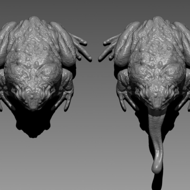 3D Printable Giant Toad - DnD Monster - 2 Poses by DCA Tabletop