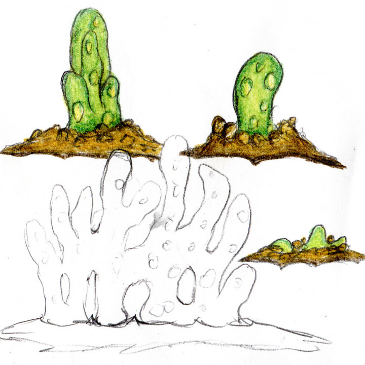 3D Printable Tabletop plant: "Blob Plant" (Alien Vegetation 13) by ...