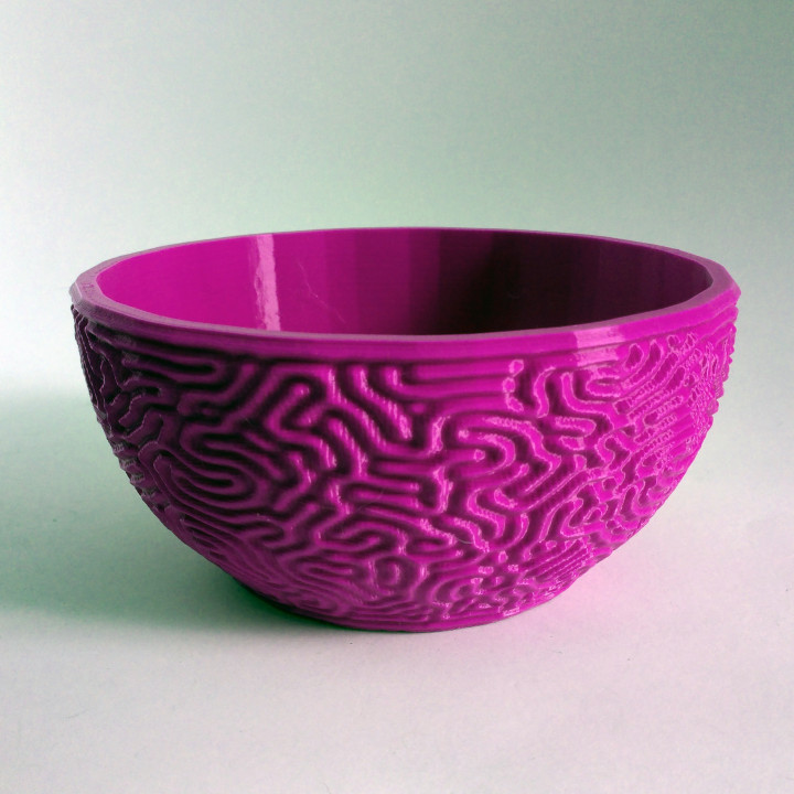 3D Printable Brain bowl by Fernando Jerez
