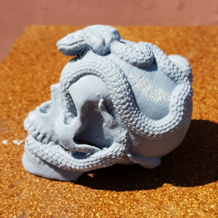 3D Printable Skull Snakes by Rony Leite
