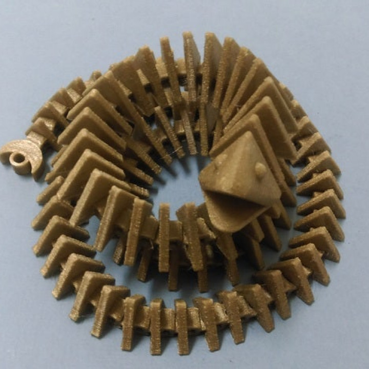 3D Printable Moving fish by Justin Lin