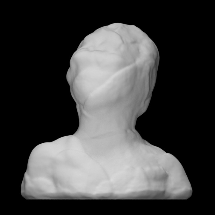 3D Printable ScottFHallSculpture006 by Scott F. Hall