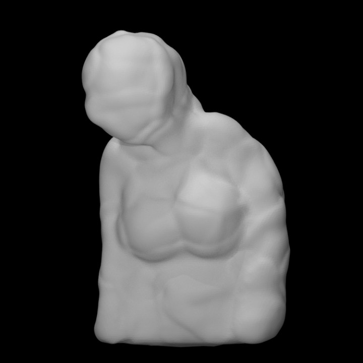 3D Printable ScottFHallSculpture025 by Scott F. Hall