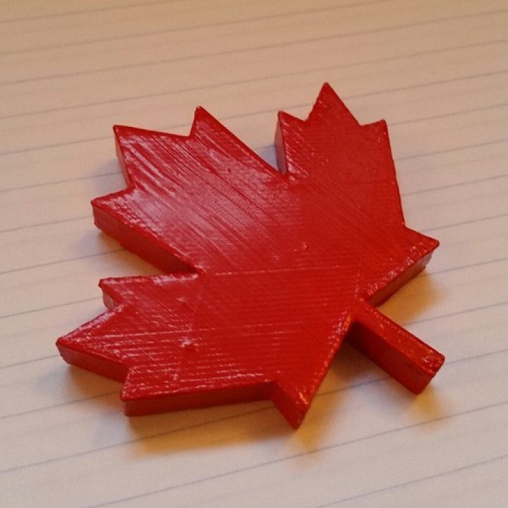 3D Printable Maple Leaf Magnet by Morena Protti