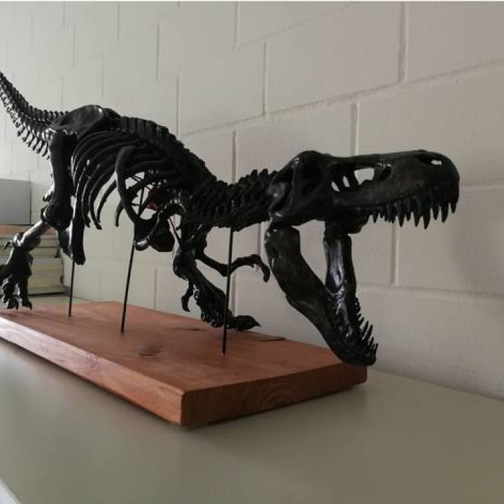 3D Printable T-Rex Skeleton - Leo Burton Mount by Kevin Dyllong