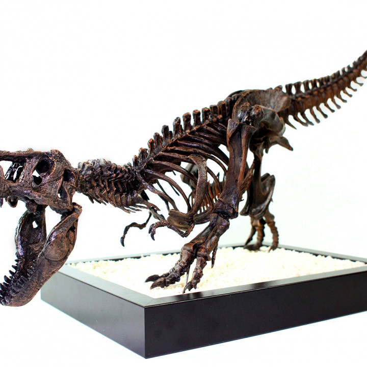 3D Printable T-Rex Skeleton - Leo Burton Mount by Kevin Dyllong