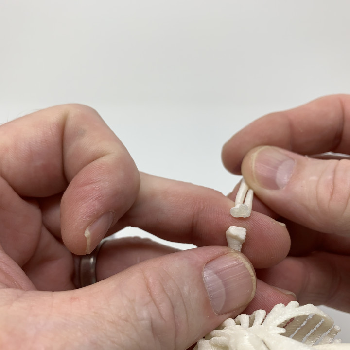 3D Printable RIP Skeleton by Greg Zumwalt