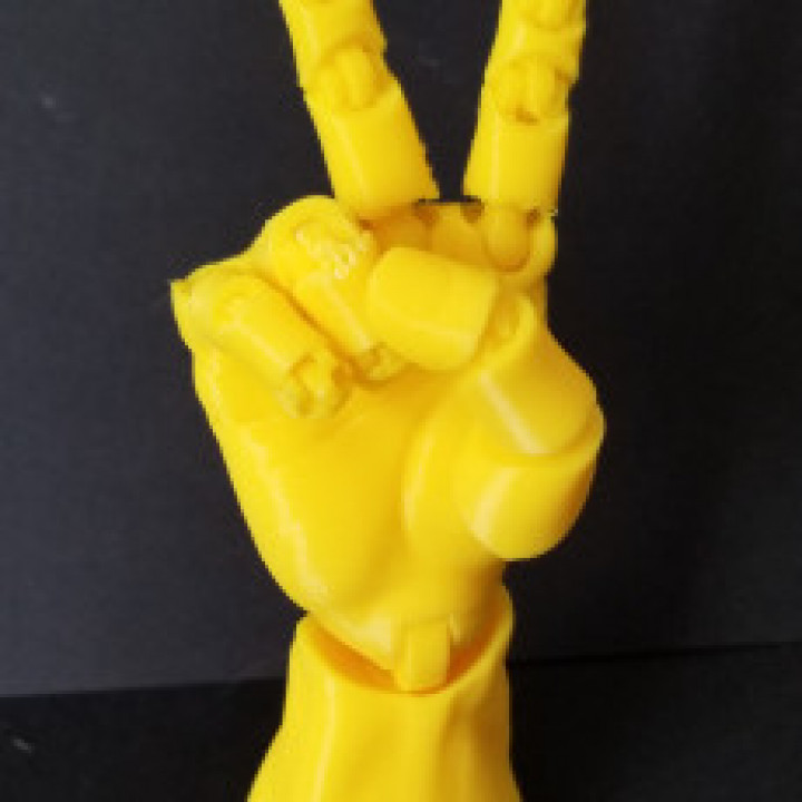 3D Print of Articulated Poseable Hand by oooggly