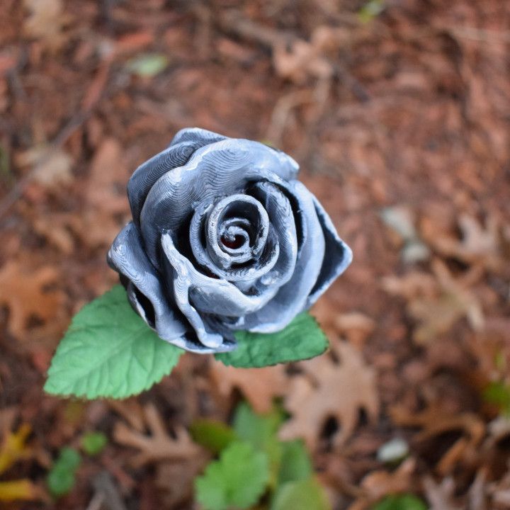 3D Printable Deadly Rose by Tanya Wiesner