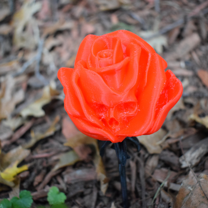 3D Printable Deadly Rose by Tanya Wiesner