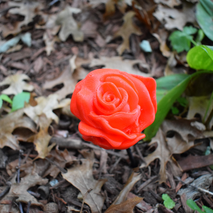 3D Printable Deadly Rose by Tanya Wiesner