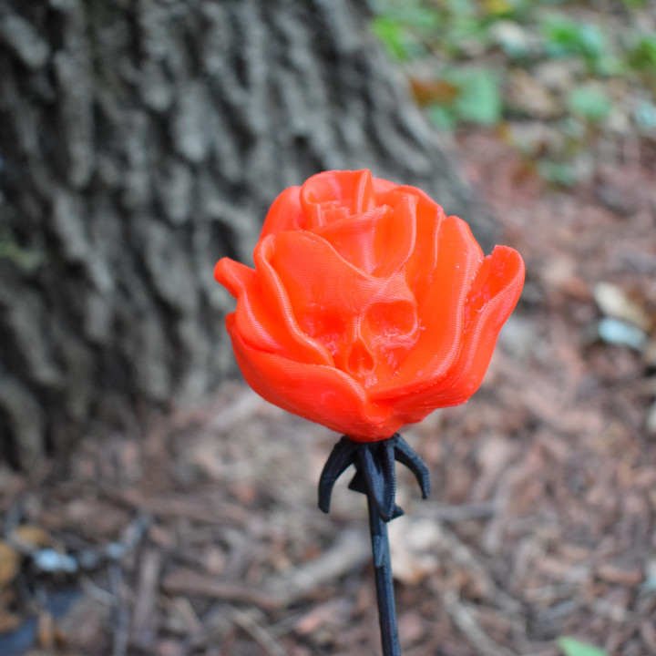 3D Printable Deadly Rose by Tanya Wiesner