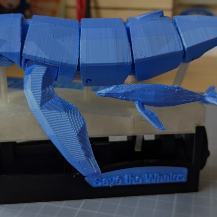 3D Print of Save the Whales (Kinetic Whales) by PLAceholder