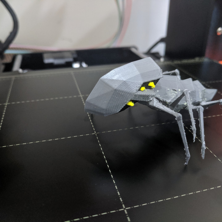 3D Printable Scrib Morrowind Multimaterial by Ellswor